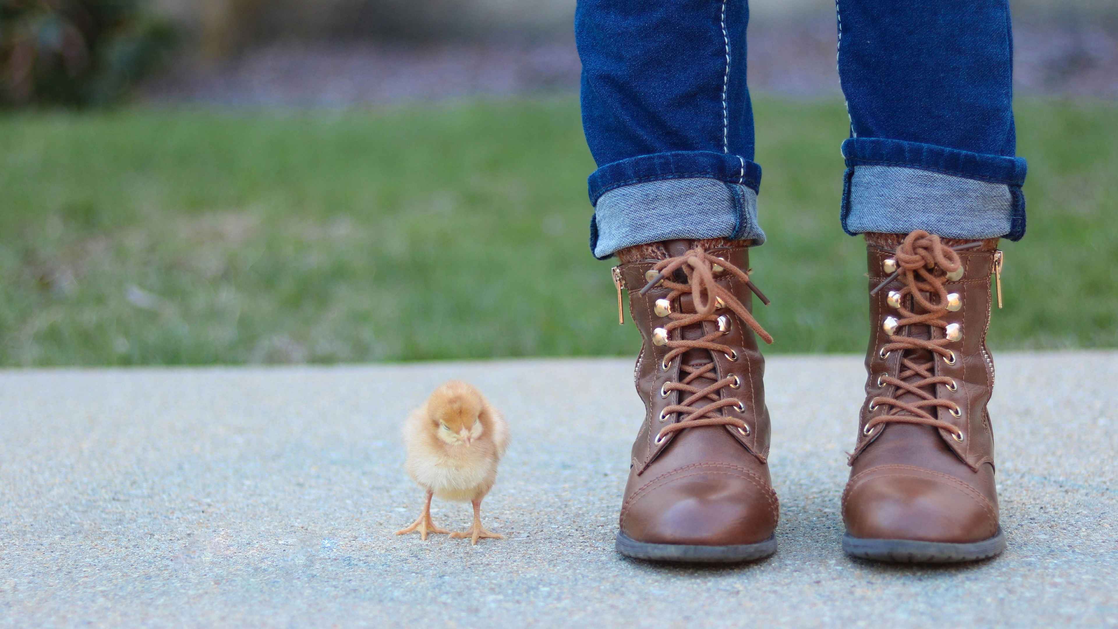 25+ Best Boot Jokes - Worst Jokes Ever