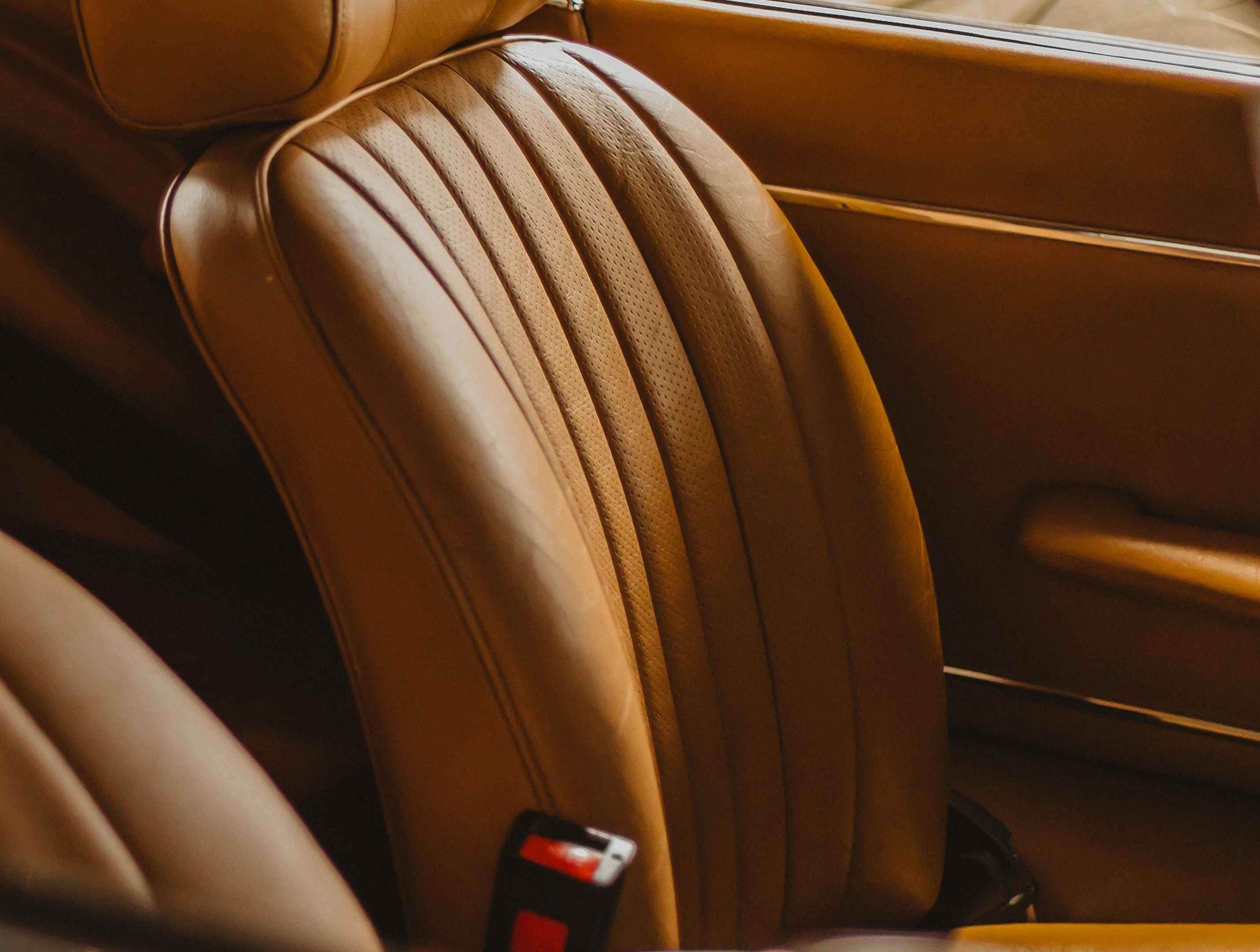 5+ Best Leather Jokes - Worst Jokes Ever