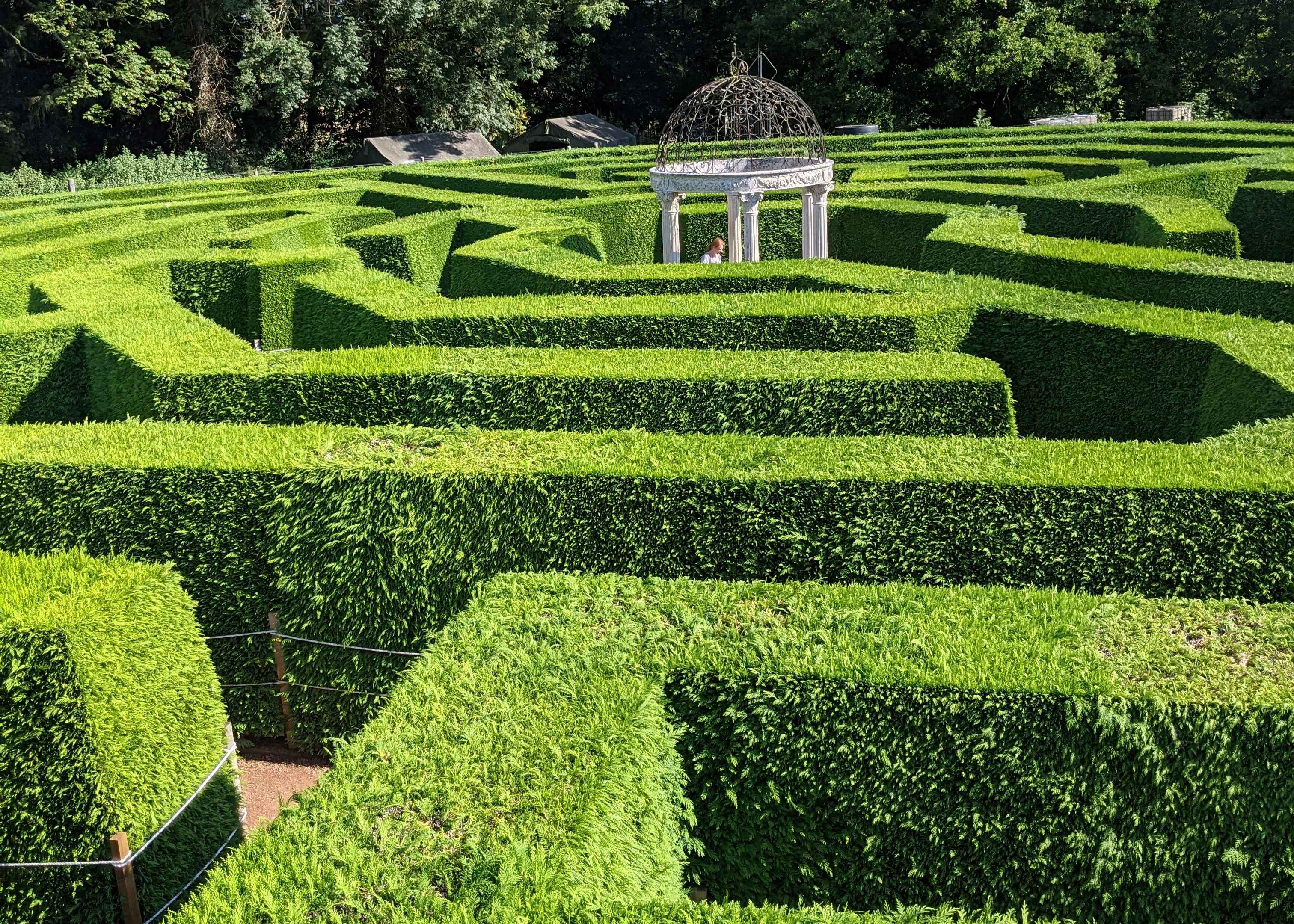 5+ Best Maze Jokes - Worst Jokes Ever
