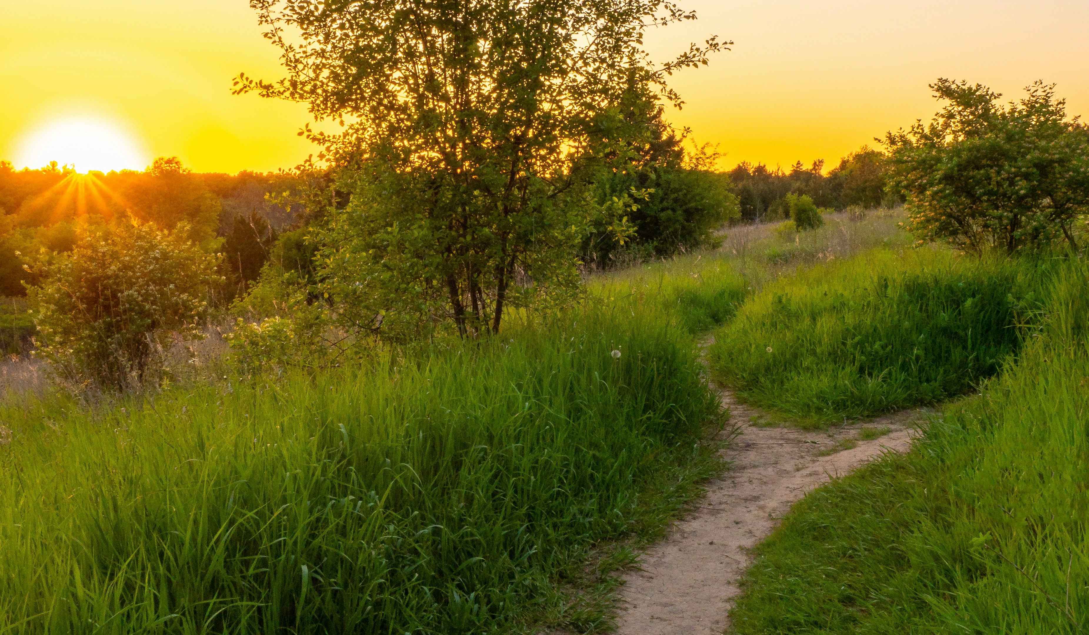 30+ Best Path Jokes - Worst Jokes Ever