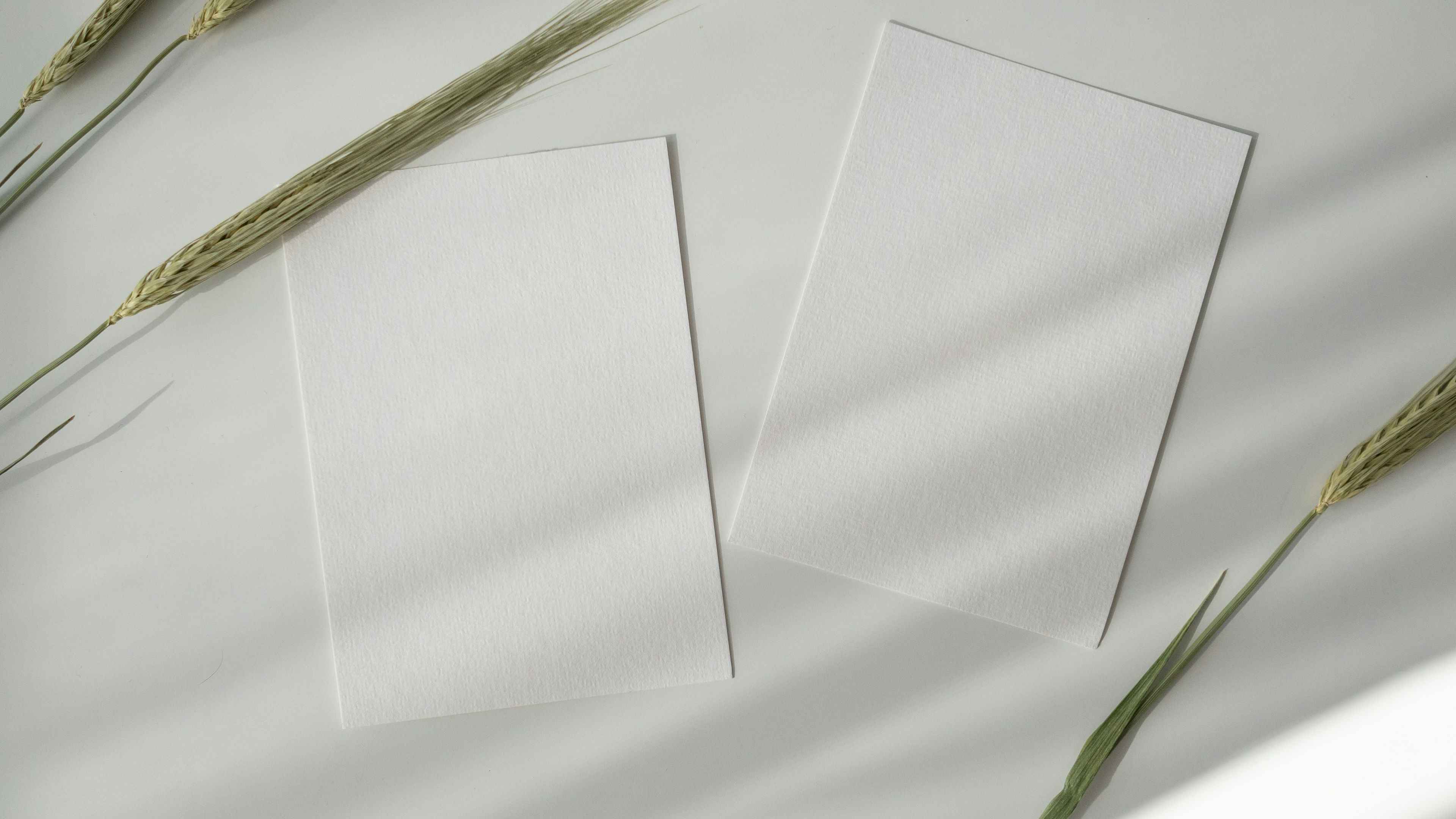 Toilet Paper Rolls Jokes - Worst Jokes Ever