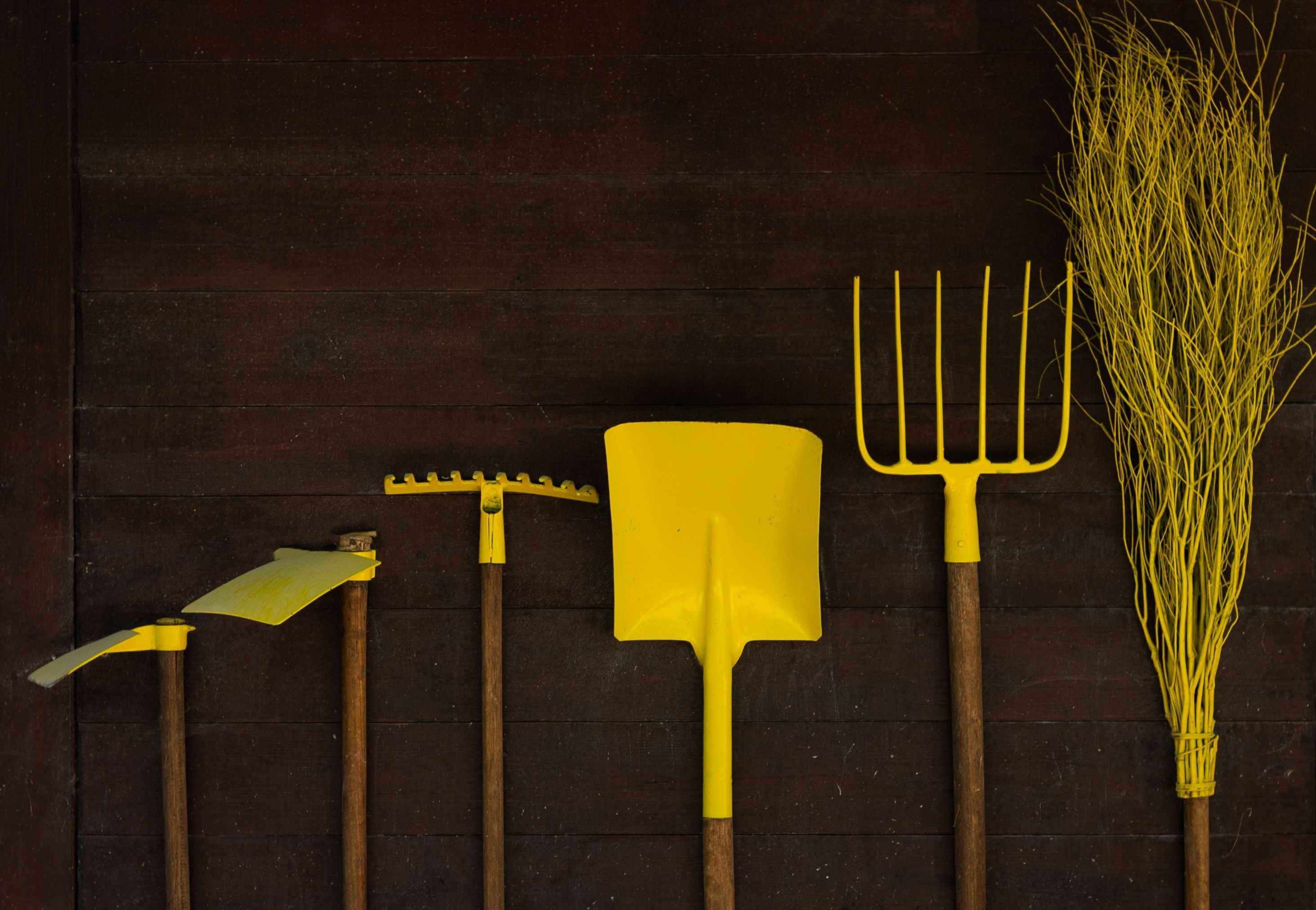 100+ Best Tool Jokes - Worst Jokes Ever