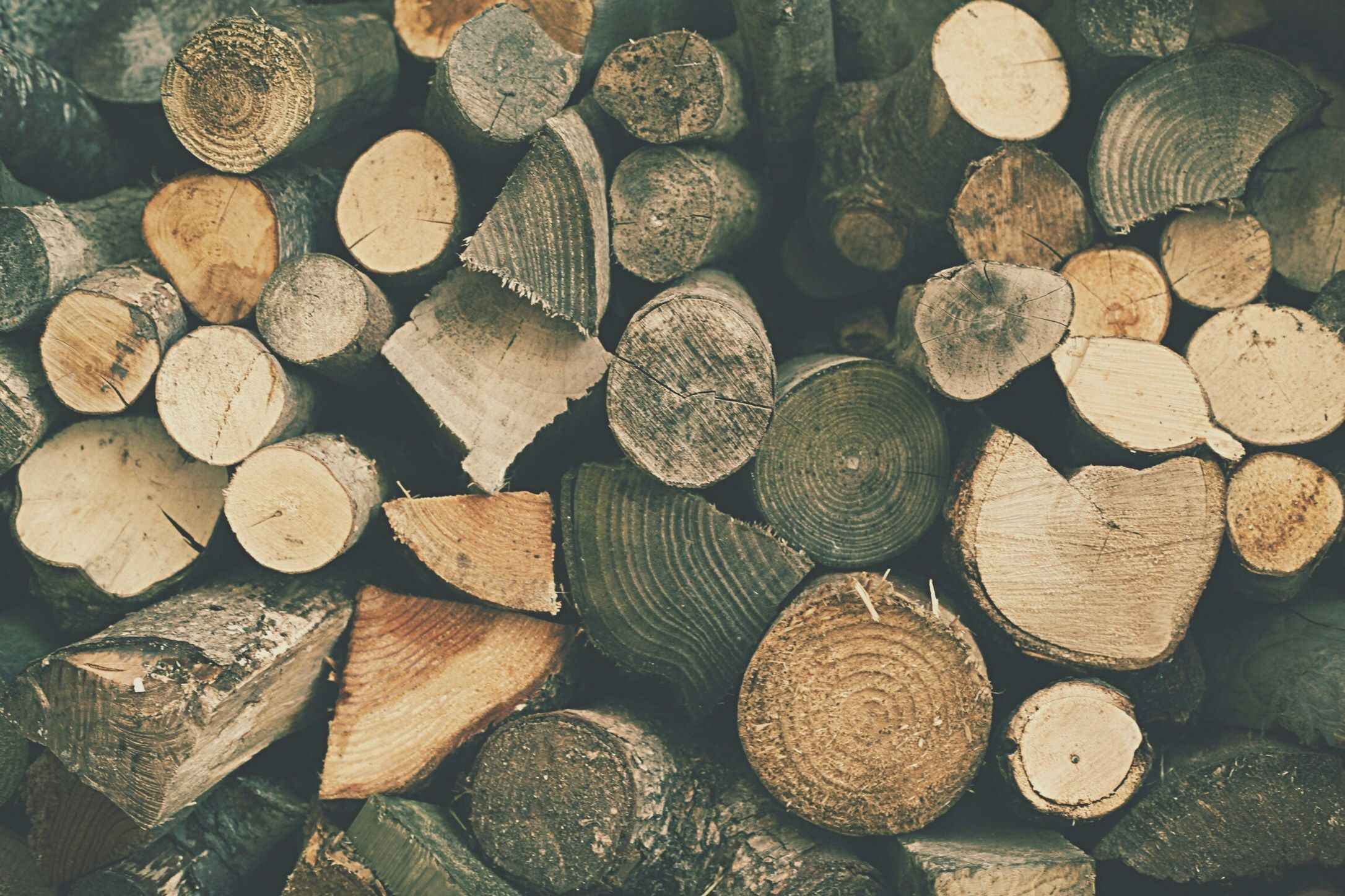 10+ Best Wood Memes - Worst Jokes Ever